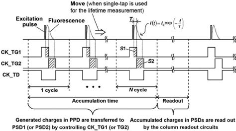 Timing Diagram For Operating Two Tap Cmos Lock In Pixel Download Scientific Diagram