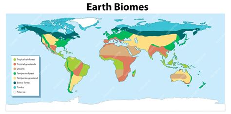 Biomas Coloridos Trazan Un Mapa De Un Mundo Dividido Por La Naturaleza