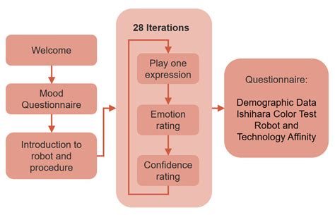 Procedure Of The User Evaluation Download Scientific Diagram