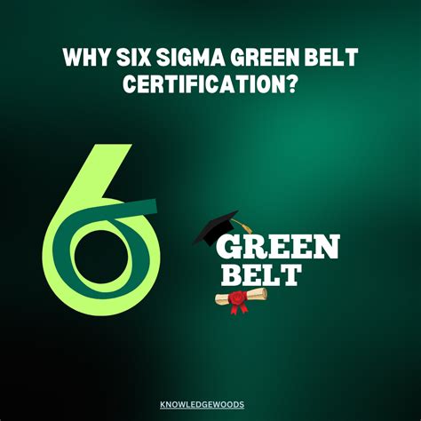 Achieving Excellence A Comprehensive Guide On How To Get Six Sigma