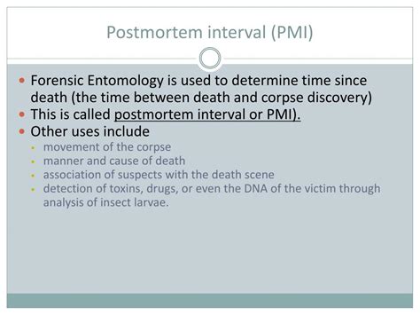 Ppt Forensic Entomology Powerpoint Presentation Free Download Id