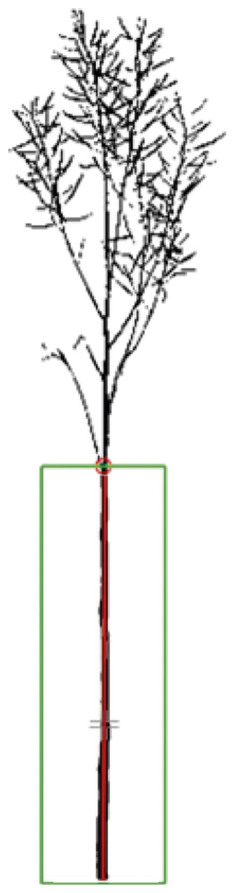 image preprocessing a original color image b binary image c