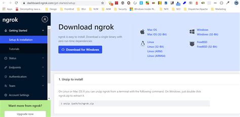 how to access the local files externally through ngrok and python