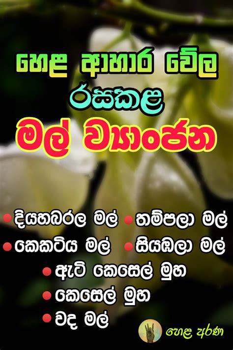 සිංහල ආහාර වේල රසකළ මල් ව්‍යාංජන හෙළ අරණ Hela Arana