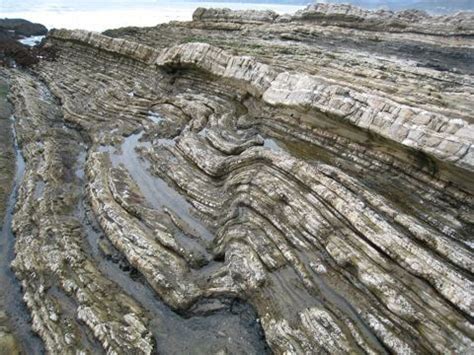 Monterey Formation Alchetron The Free Social Encyclopedia