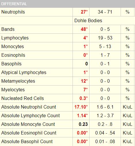 Metamyelocytes And Myelocytes
