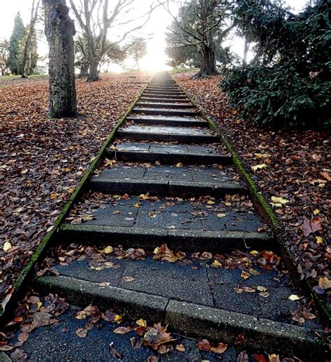 Whats In A Name Business Entity Name Search Databases By State