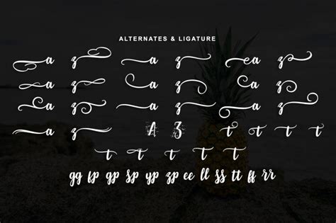 Peque Script By Pointlab Thehungryjpeg