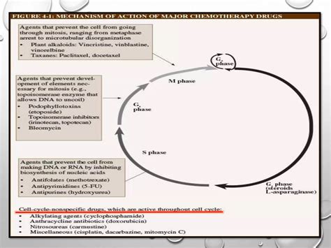 Chapter 20 Alkylating Agent Extra Ppt