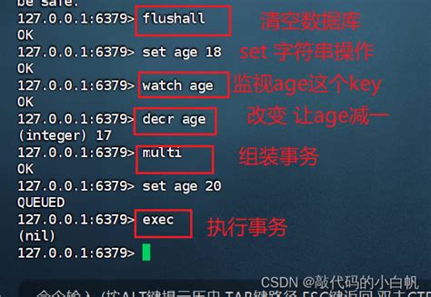 Redis3 Java操作java Redis 乐观锁 Csdn博客
