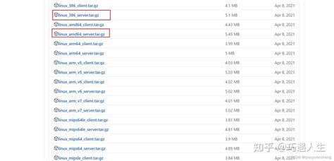 使用nps搭建内网穿透并配置泛域名解析 知乎