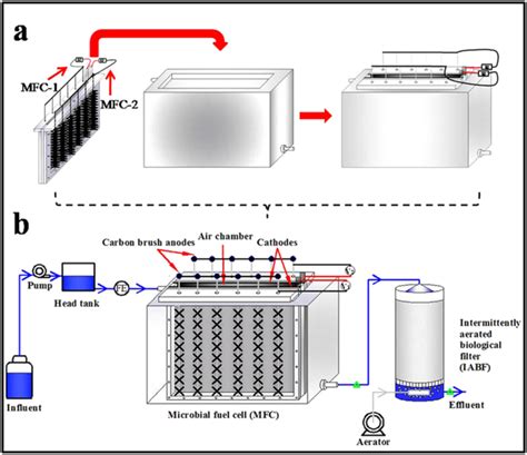 Schematic Diagram Of A The Mfc Reactor B The Two Stage Combined Download Scientific
