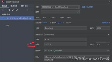 数据库应用实践大作业：数据库应用系统的开发数据库大作业 Csdn博客