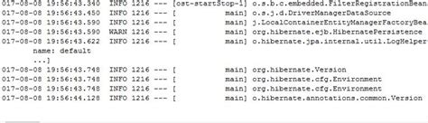 Java Spring Boot Application Startup Stuck Loading Hibernate Files