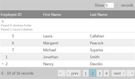 Paging Igtreegrid Ignite Ui™ Help