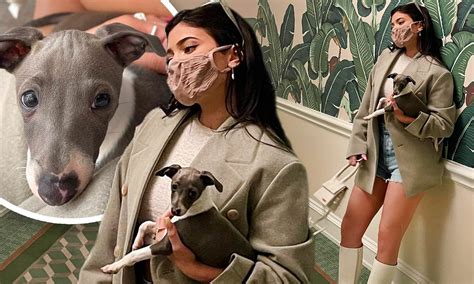 Kylie Jenners Adorable Dog Kevin A Look Into The Life Of A Celebrity