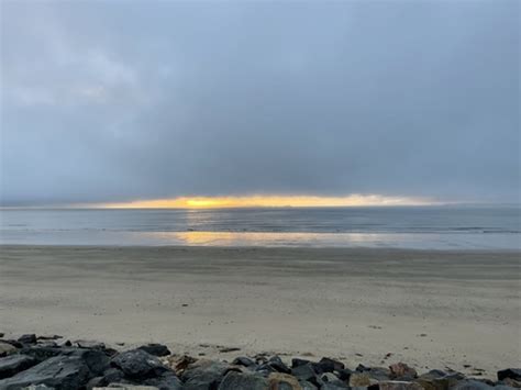 Animaechan Animaechan Free Onlyfans Content Models Gallery Com