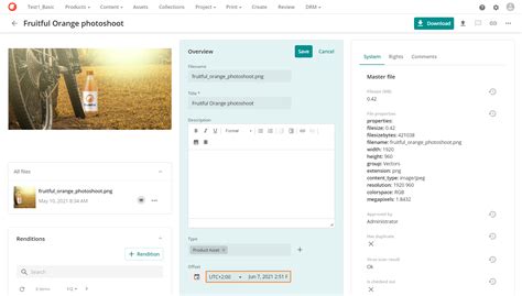 Datetime Offset Picker Sitecore Documentation