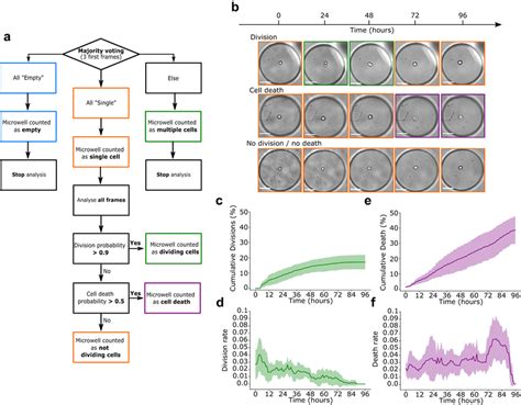 Dynamic Analysis With Our Dlba A Downstream Of The Cnn A Decision Download Scientific