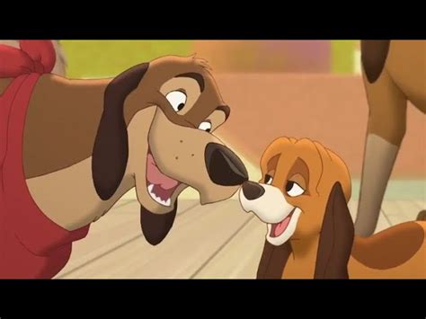 The Fox And The Hound 2 Cash And Dixie