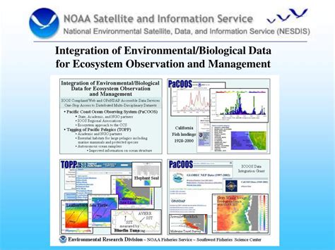 Ppt Ioos Data Management Activities For Ecosystem Observations Powerpoint Presentation Id984372