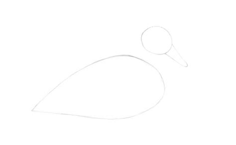 How To Draw A Duck Envato Tuts