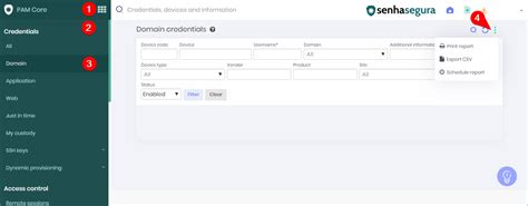how to access domain credentials report pam core senhasegura community