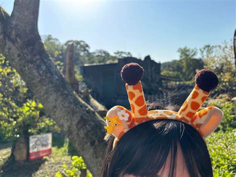 皮克敏🌼（pikmin Bloom）台灣討論區 動物園純點分享📍 Facebook