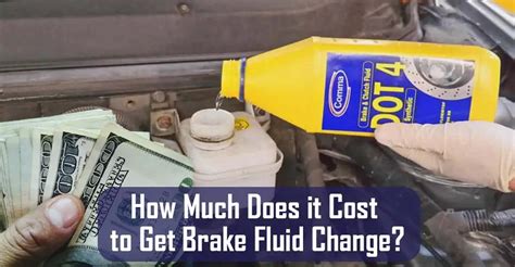 What Is Brake Fluid Cost at Aiden Ligar blog