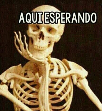 Só Esperando Funny Images Laughter Funny Images Skeleton Pics