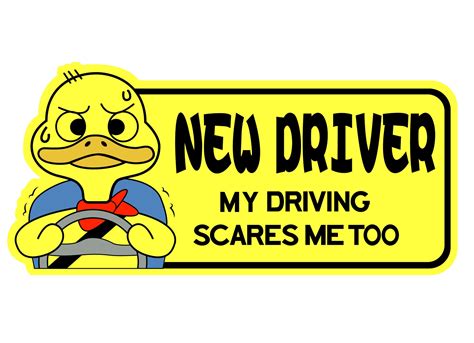 Driver Idea Artofit
