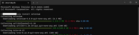 Python環境でのSeleniumのインストール オクタンラボ