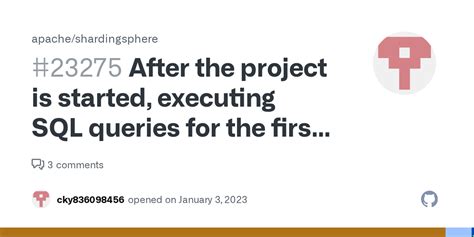 After The Project Is Started Executing Sql Queries For The First Time