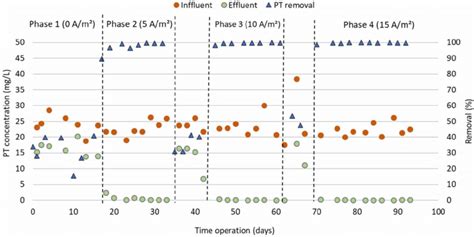 Evolution Of The Concentration Of Tp In The Influent And Effluent Of