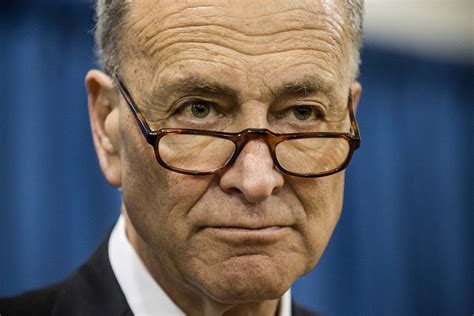 Download Chuck Schumer Close Up Portrait Wallpaper