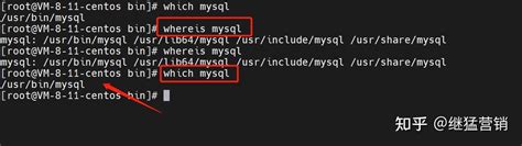Linux 查看 MySql 文件位置 安装位置小白学会这两条Linux命令就可以啦 知乎