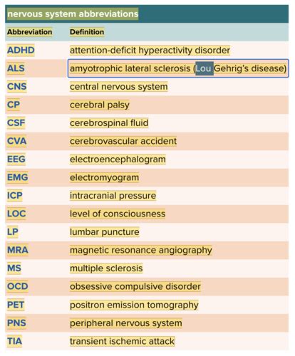 Med Term Chapter 5 Flashcards Quizlet