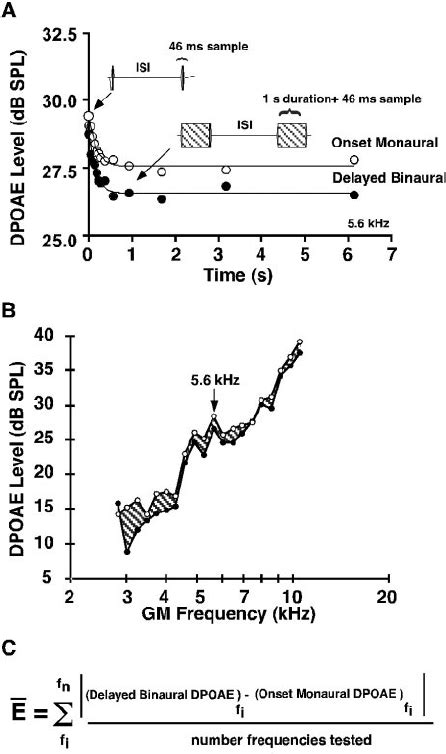 The Strength Of Cochlear Efferent Activation Was Highly Variable Across Download Scientific