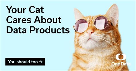 One Data On Linkedin Dataproducts Technology Ai Business