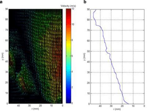 piv image processing steps with a fully processed piv resultant