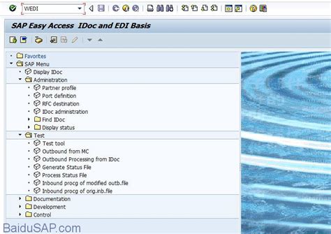 Sap Idoc 开发入门 摆渡sap