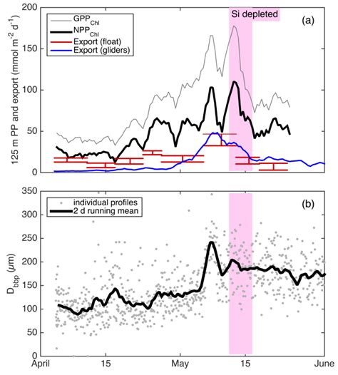 A Continuous Productivity And Export From The Autonomous Float And Download Scientific