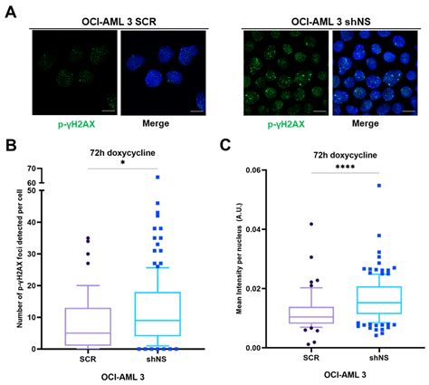 Proteomic Investigation Of The Role Of Nucleostemin In Nucleophosmin Mutated Oci Aml 3 Cell Line