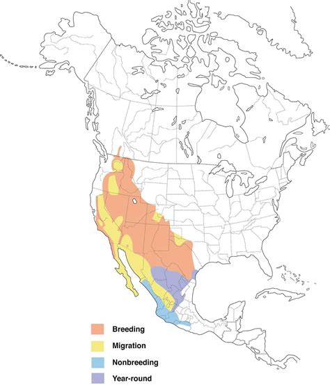 Hummingbird Moth Range Map