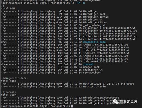 MongoDB存储引擎数据持久化和索引原理 墨天轮 MongoDB存储引擎数据持久化和索引原理 墨天轮