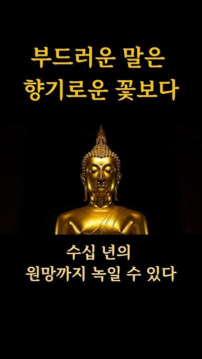 부드러운 말은 향기로운 꽃보다 오래 남는다 마음공부 마음공부 자기수행 자기수행 좋은글 명언 명언 마음의소리로쓰는글 마음의소리로쓰는글 부처의가르침 지혜