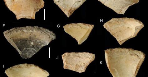 네안데르탈인 바다 잠수해 채집한 조개껍데기로 도구 만들어
