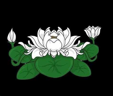 Gambar Bunga Terate Png 58 Koleksi Gambar