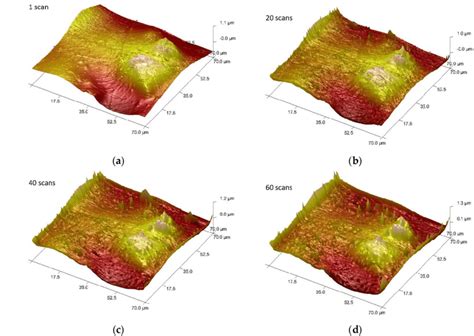 Surface Topography Evolution Of Sample G 05 After Scratching The Download Scientific Diagram