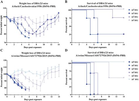 Infection Of Dba 2j Mice With Recombinant H4n6 Viruses In The Pr8 Download Scientific Diagram